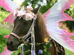 Drugs, Ponies & Birthdays