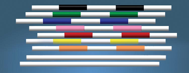 Trot Poles - Set-Up for Riding Lessons | TheRidingInstructor.net
