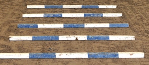 Trot Poles - Set-Up for Riding Lessons | TheRidingInstructor.net