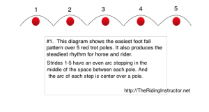 Trot Poles - Set-Up for Riding Lessons | TheRidingInstructor.net