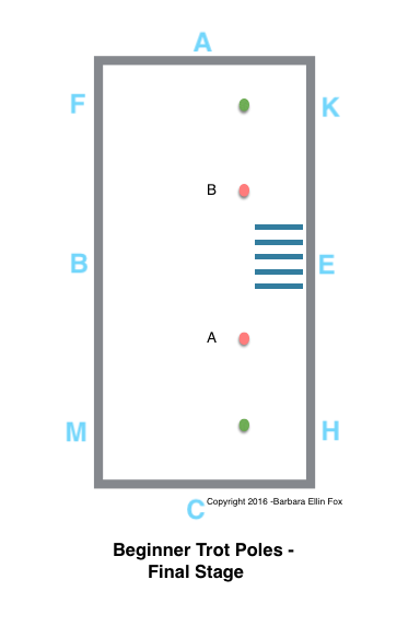 Beginner Trot Poles – Lesson Plan - The Riding Instructor