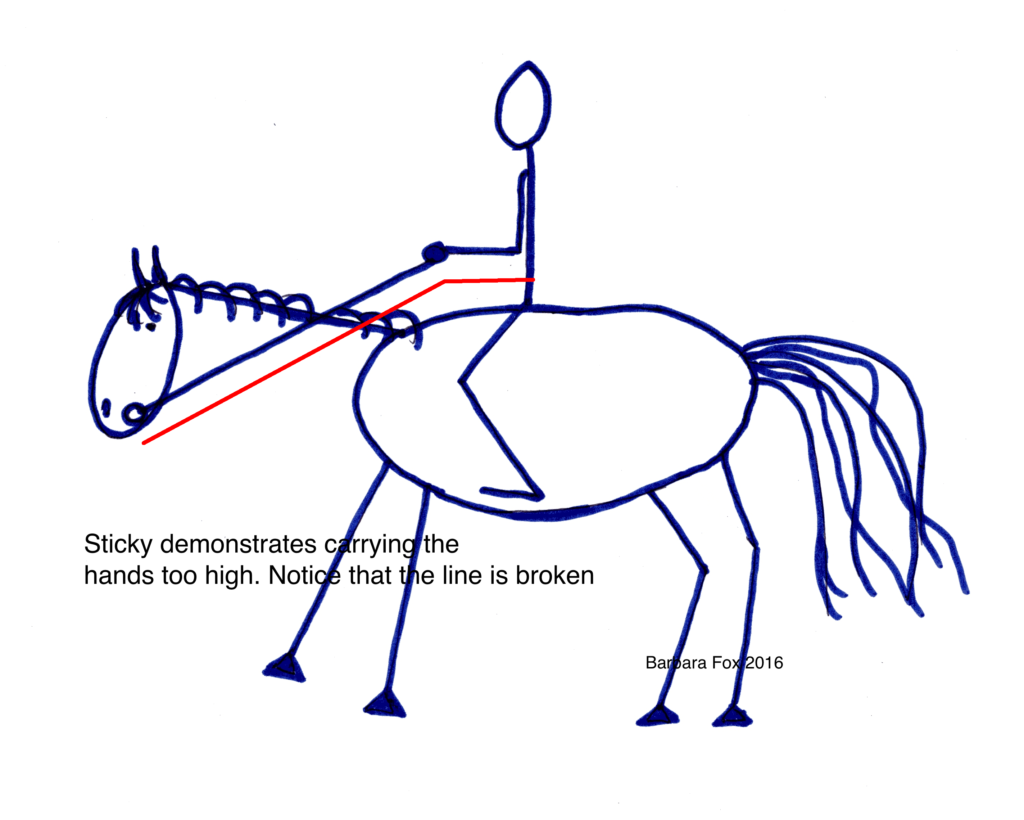 Rider Hand Position - Good and Bad - The Riding Instructor