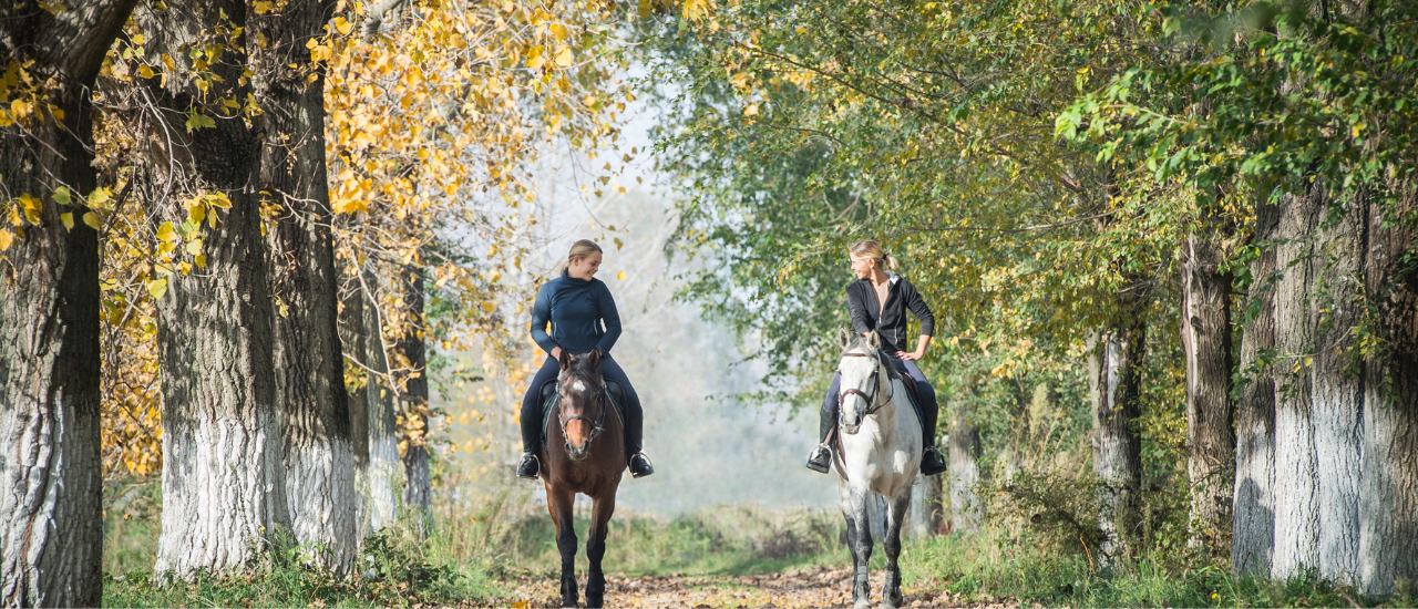 Resources for Horseback Riding Instructors - The Riding Instructor