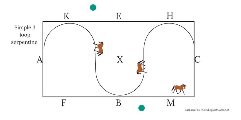 Teaching the Three-Loop Sertentine to Beginners